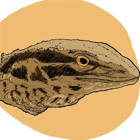 Pythonic Method Youtube