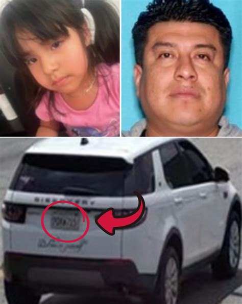 Heartbreaking Amber Alert 4 Year Old Daleza Fregoso Abducted In La