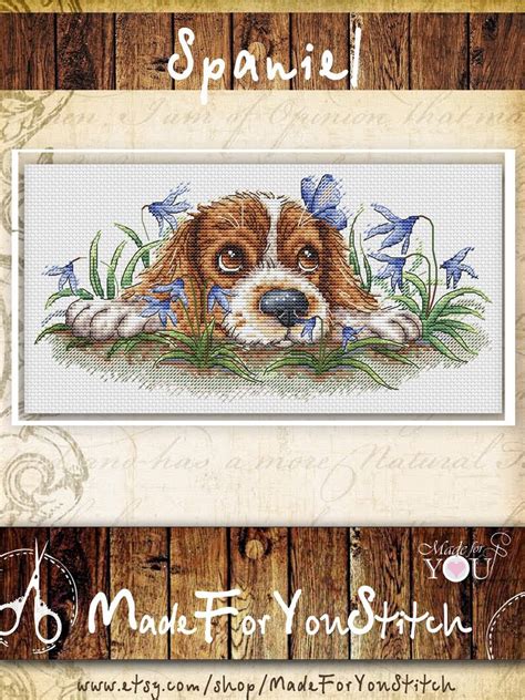 Springer Spaniel Cross Stitch Patterns Crochet Stitch Pattern