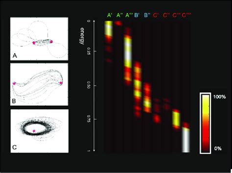 Left Sample Spatial Trajectories For The Three Classes Of Behaviors