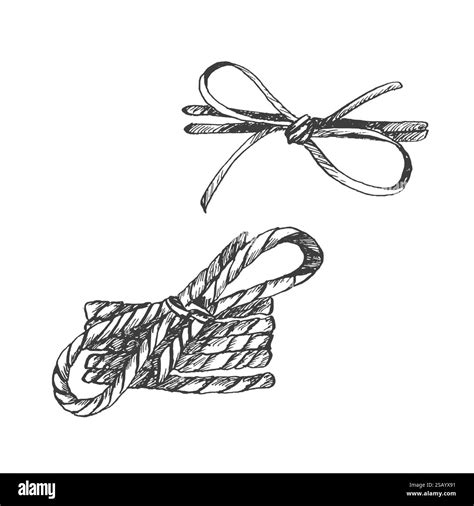 Rope Tied In A Bow Graphic Illustration Vector Set Of Two Nodes Hand Drawn Cordage Knot