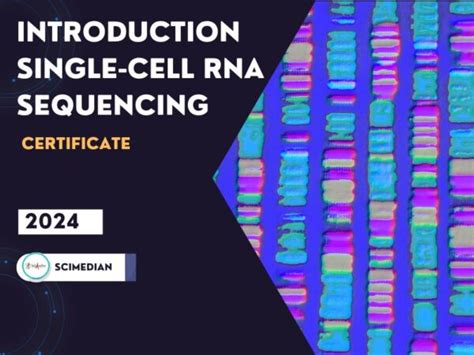 Introduction To Single Cell RNA Sequencing