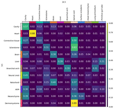 Spatiotemporal Trajectory Of Mouse Organogenesis Moscot Documentation