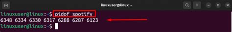How To Kill Processes In Linux Ubuntu Dracula Servers Tutorials
