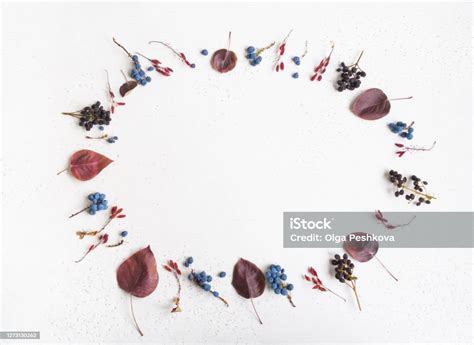 다양한 열매와 야생 나무잎은 흰색 질감 배경과 텍스트 공간을 열어 놓고 고립되어 있습니다 식물학 배경 맨 위 보기입니다 플랫 레이 가을에 대한 스톡 사진 및 기타 이미지