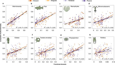 Relationship Between The Functional Diversity Of Aquatic Organisms And Download Scientific