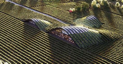 შილდას ღვინის ქარხანა ტაბულა