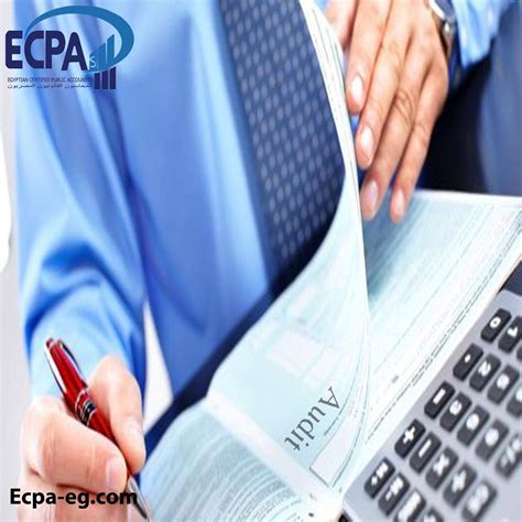 Classification Of External Audit Services Within The Framework Of