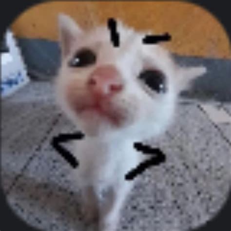 What The Fuck Is Wrong With Me Memories Of ★dandys World★ Talkie Ai