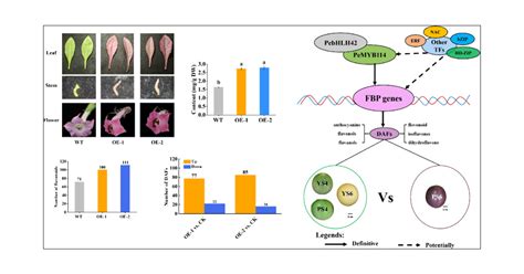 Integrated Transcriptomic And Metabolomic Analysis Revealed Regulatory