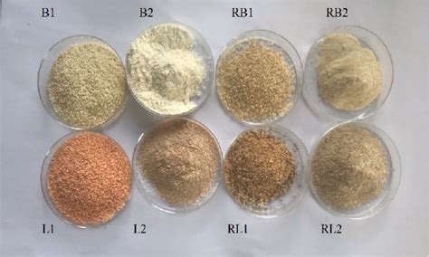 Figure 1 From Estimation Of Roasted And Raw Faba Bean And Lentil Flour Functional Properties