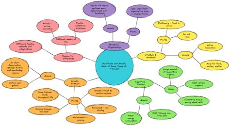 Tissues Class 9 Mind Maps Topic Wise And Memorable