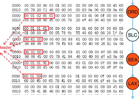 Packet Tracing From Server To Client Download Scientific Diagram