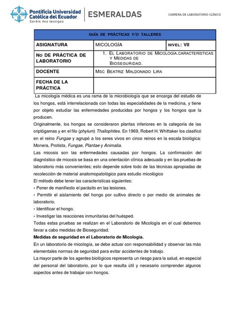 Guía Práctica 1 El Laboratorio De Micología Pdf Laboratorios Hongo