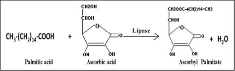 Reaction Scheme Showing Enzymatic Esterification Of Palmitic Acid With