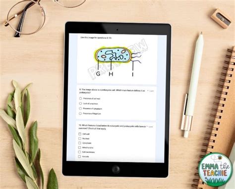 Reasons Why You Should Be Using Google Forms Quizzes