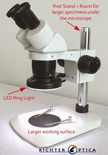 Microscope World Blog Popular High School Dissecting Microscopes