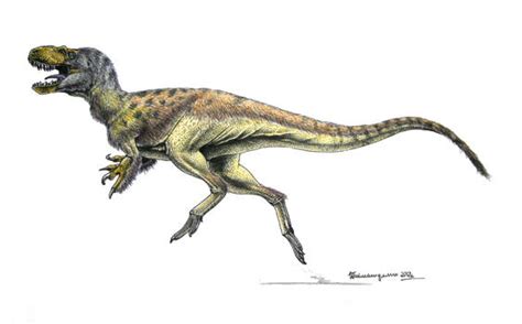 Explore The Best Xiphactinus Art Deviantart