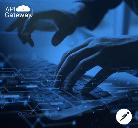 Desata Tu Potencial Como Desarrollador Domina El Arte De Las Pruebas De Apis Con Postman Api