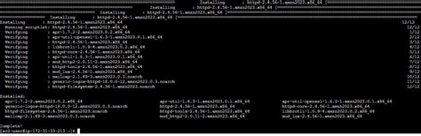 How To Install Apache Web Server On Amazon Linux 2023 Cloudkatha