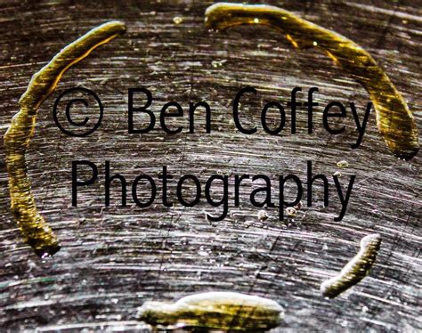 Ben Coffey Photography Corydon In