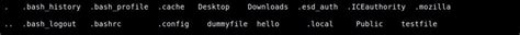 The Most 17 Useful Ls Command In Linux With Examples LinuxTeck