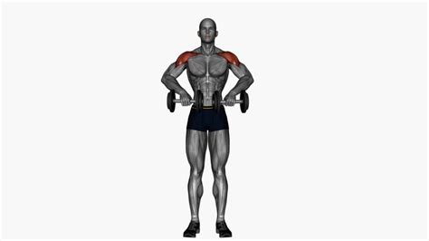 Mastering The Upright Row Your Ultimate Guide To Dumbbell Mastery