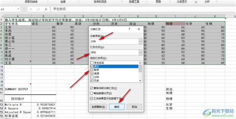 Excel如何将不同内容归类？ Excel将不同内容归类的方法 极光下载站