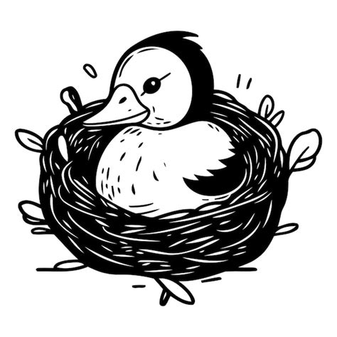 Duck Nest Images Free Download On Freepik