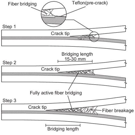 Schematic Illustration Of Short Fiber Bridging Development Download