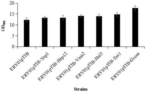 Method For Constructing Recombinant Yarrowia Lipolytica And Application