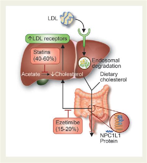 Figure 1 From Reduction Of Ldl C Related Residual Cardiovascular Risk