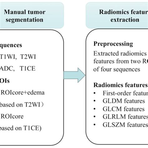 Workflow Of Our Research Radiomics Features Of 111 Glioma Patients Download Scientific Diagram