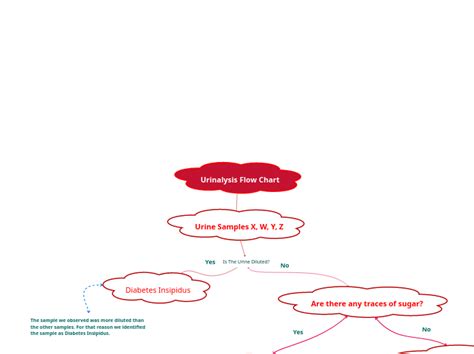 Urinalysis Flow Chart Mind Map