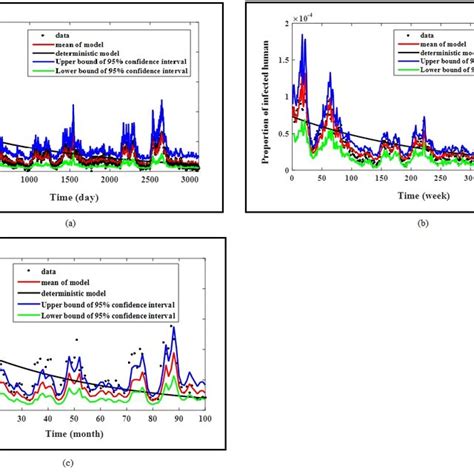 simulation of deterministic and stochastic models based on a daily