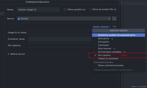 （让前端拥抱docker）关于webstrom使用docker环境开发webstorm Docker一不小心扯到蛋的博客 Csdn博客