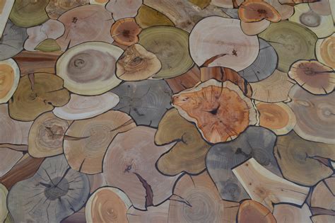 Gallery Tree Log Design