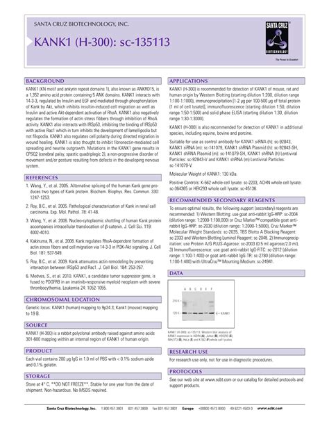 Datasheet Blank Template Docslib