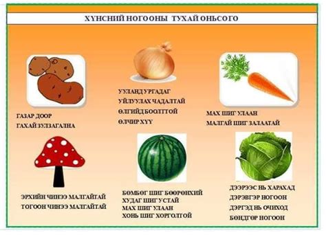 ОНЬСОГО ТААЦГААЯ Дархан Хүүхдийн Номын Ордон