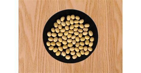 Comprehensive Analysis Of The T2t Genome Of The Soybean Cv Zhonghuang