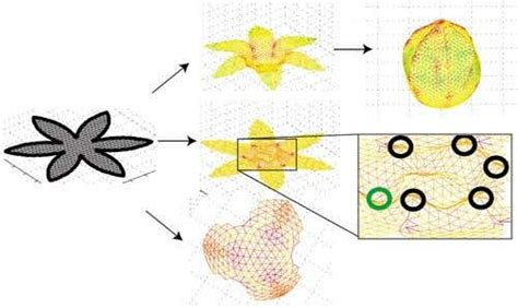 Self Assembly Could Simplify Nanotech Construction New Scientist