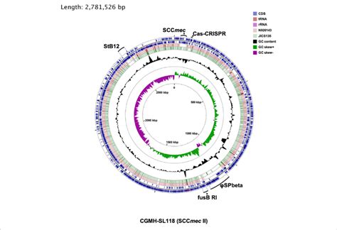Comparative Genomic Analysis Of Three Staphylococcus Lugdunensis