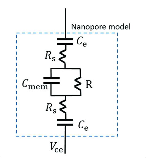 Nanopore Model Dong Et Al 2020 Download Scientific Diagram