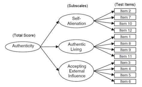 Chapter 12 Confirmatory Factor Analysis Cfa Flashcards Quizlet