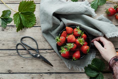테이블 위에 딸기 한 그릇을 들고 있는 사람 사진 Unsplash의 딸기 이미지