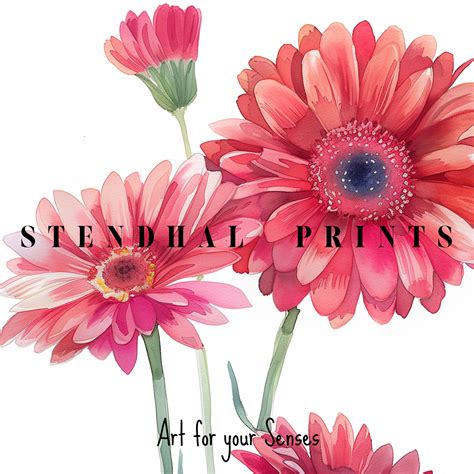 Lively Garden Flowers Illustration Watercolor Art Print Daisies