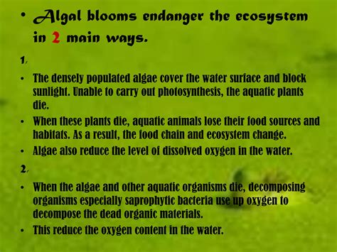 C9 Water Pollution N Eutrophication Pptx Science