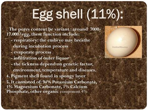 Ppt Quality Of Egg Powerpoint Presentation Free Download Id6334061
