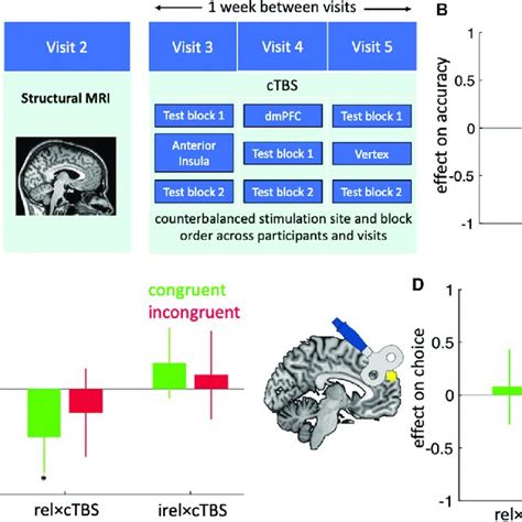 Functional Connectivity Between Ai And Dmpfc A Ai Dmpfc Connectivity Download Scientific