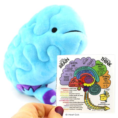 Brain Plushie All You Need Is Lobe Plush Organ Stuffed Toy Pillow
